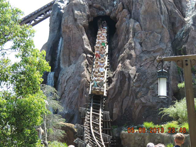 Disney World Roller Coasters